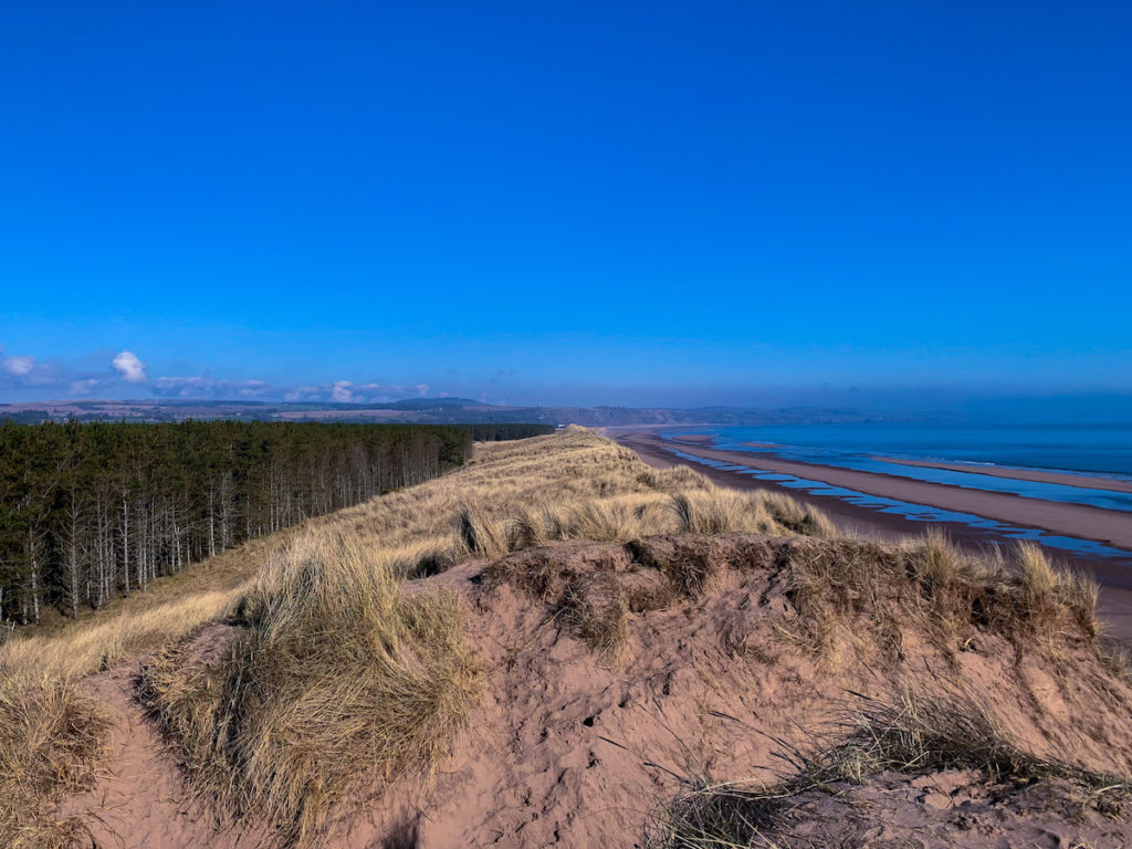 Montrose | Everything you need to know - It's Cuppy Time